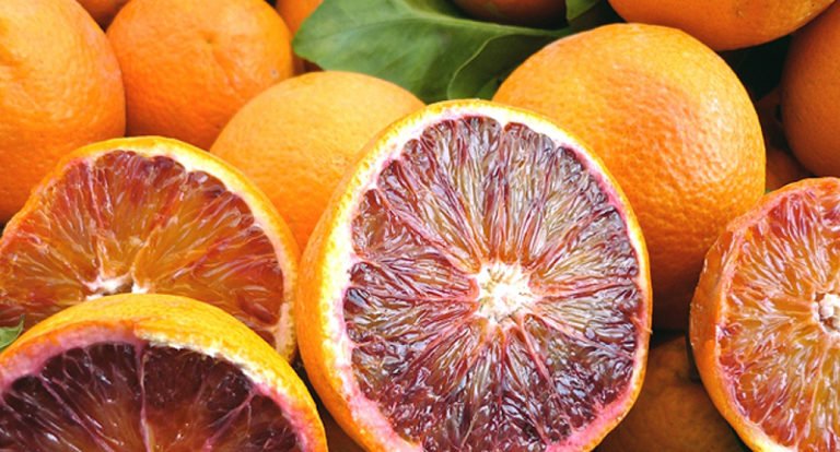 Tutti i Prodotti Tipici Siciliani | Scopri i Prodotti Tipici DOP e IGP ...