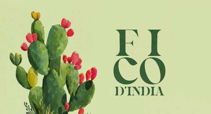 Comune di San Cono (CT): Cosa vedere | Mappa | Feste e Sagre