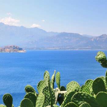 Comune di Torretta (PA): Cosa vedere | Mappa | Feste e Sagre