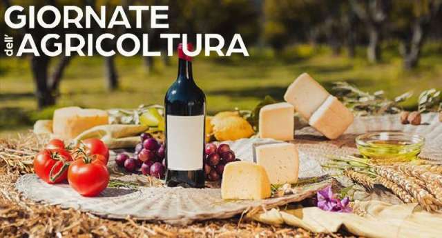 Comune di Valledolmo (PA): Cosa vedere | Mappa | Feste e Sagre