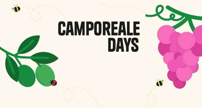 Comune di Camporeale (PA): Cosa vedere | Mappa | Feste e Sagre